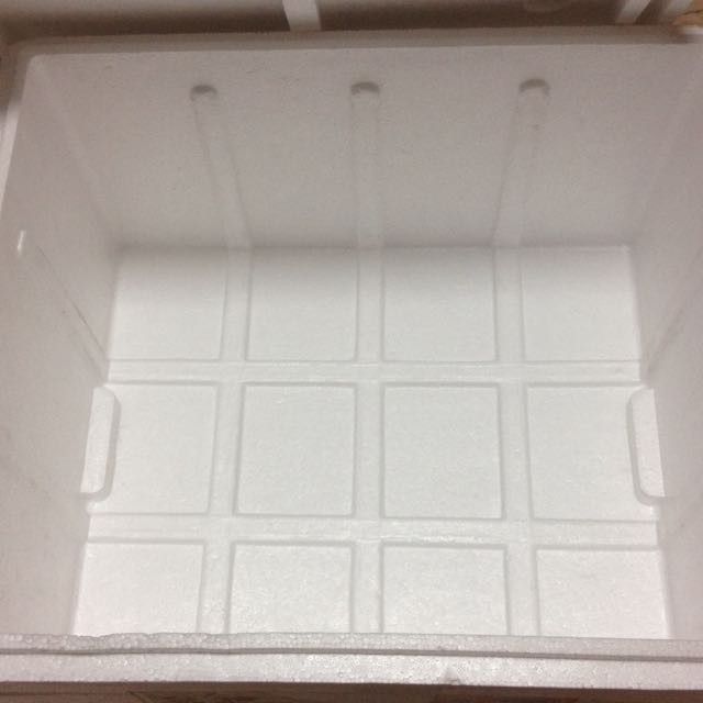 Styrofoam Storage Box, Furniture & Home Living, Home Improvement ...