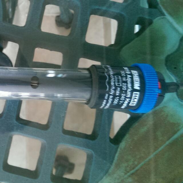 Eheim Jager Heater 300w, Pet Supplies, Homes & Other Pet Accessories on ...