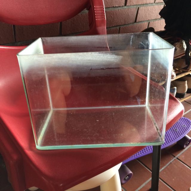 1 Feet Glass Fish Tank, Pet Supplies, Homes & Other Pet Accessories on ...
