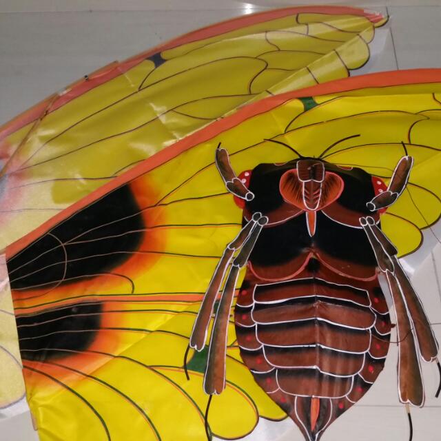 Fancy Kite Authentic Balinese Art, Hobbies & Toys, Memorabilia ...