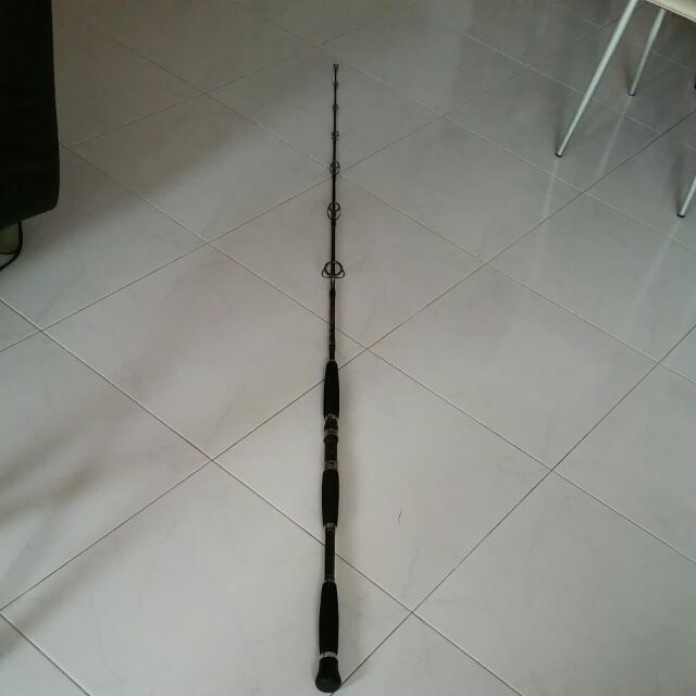 Daiwa (Monster Mesh) Fishing Rod, Sports Equipment, Fishing on Carousell