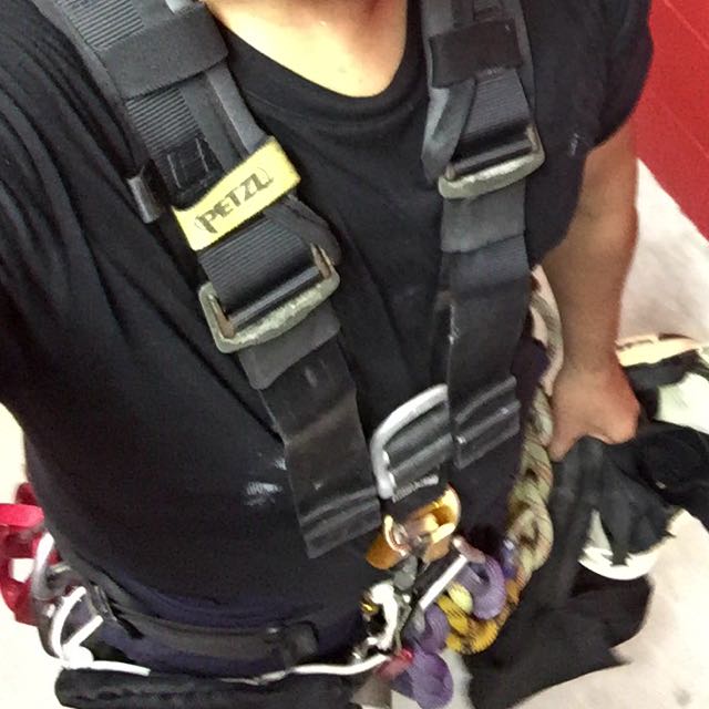 Petzl Full Body Harness. Just The Harness, Sports Equipment, Exercise ...