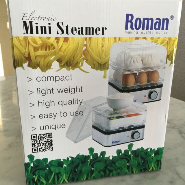 Electronic Mini Steamer, TV & Home Appliances, Irons & Steamers on ...