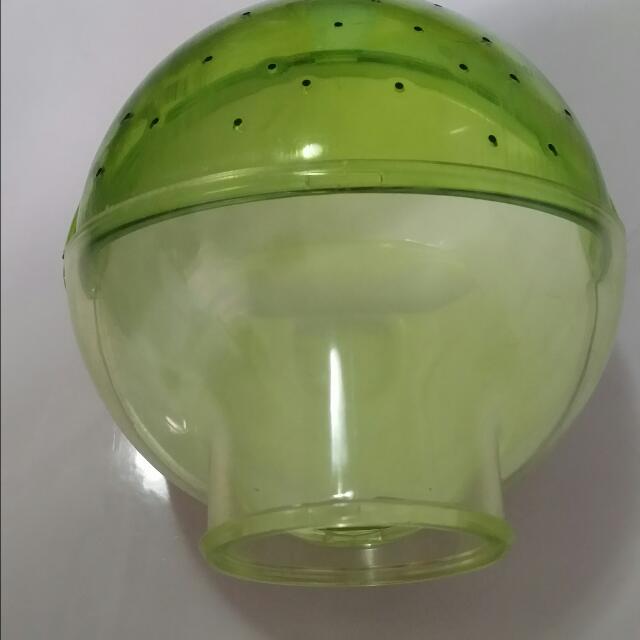 Ovo House, Pet Supplies, Homes & Other Pet Accessories on Carousell