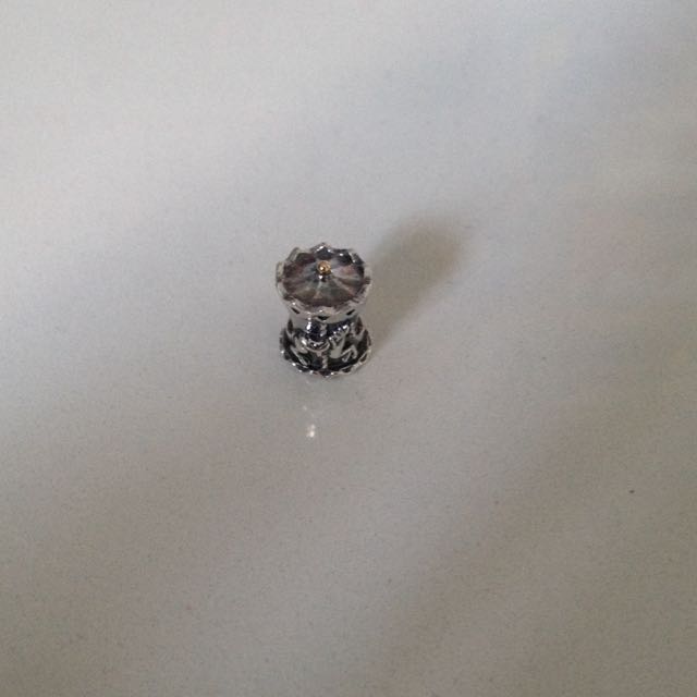 Authentic Carousel Pandora Charm, Women's Fashion, Jewelry & Organisers ...