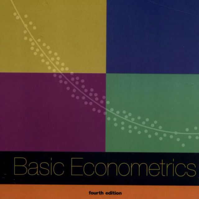 Basic Econometrics Textbook Hobbies And Toys Books And Magazines