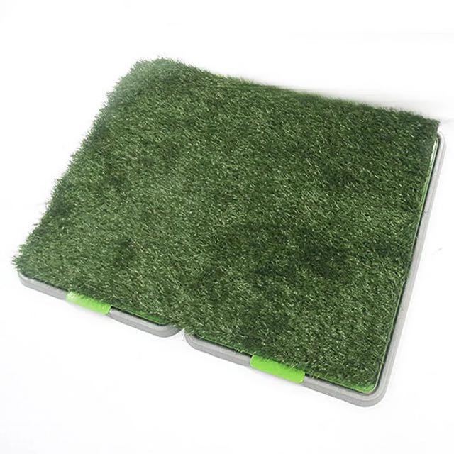 Grass Pee Tray, Pet Supplies, Homes & Other Pet Accessories on Carousell