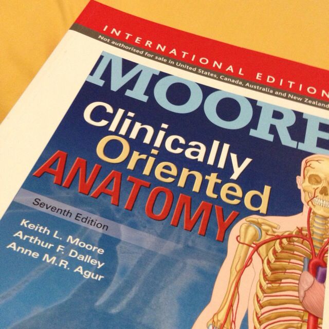 Moore Clinically Oriented Anatomy ('mama Moore'). In brand new ...