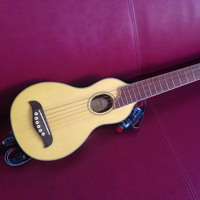 Washburn Rover Travel Guitar With Pickup Installed, Hobbies & Toys ...