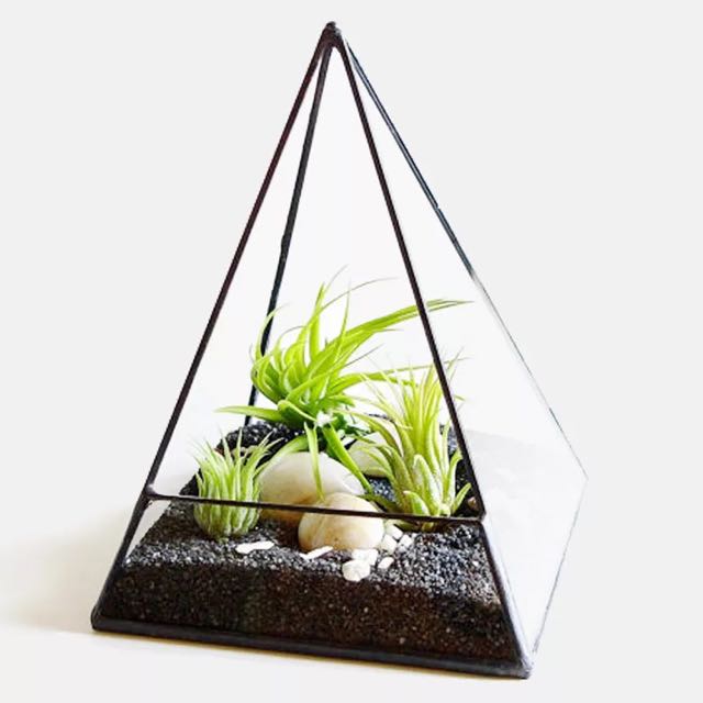 PO Score + Solder Terrarium Pyramid Shaped (medium), Hobbies & Toys ...