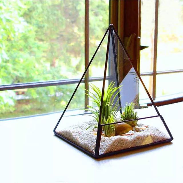 PO Score + Solder Terrarium Pyramid Shaped (medium), Hobbies & Toys ...