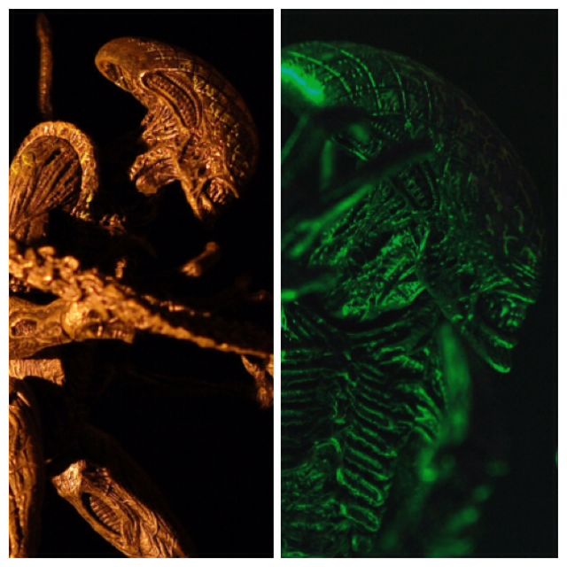 Mcfarlane Grid Alien, Hobbies & Toys, Toys & Games on Carousell