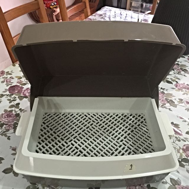 Kitty Litty Cat Litter Box, Pet Supplies, Homes & Other Pet Accessories ...