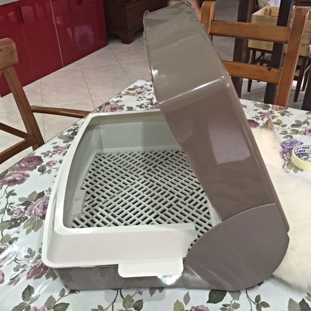 Kitty Litty Cat Litter Box, Pet Supplies, Homes & Other Pet Accessories ...