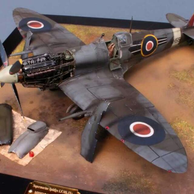 1:32 Tamiya Supermarine Spitfire Mk Viii Aircraft Model, Hobbies & Toys ...