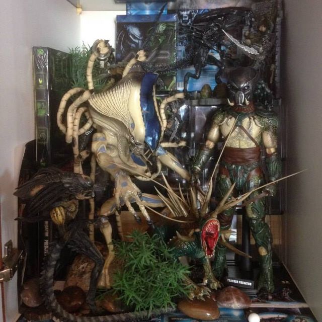Aliens , Predators (Hot Toys, Spawn) & Independence Day Alien, Hobbies ...
