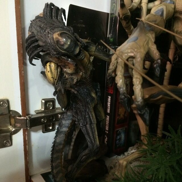 Aliens , Predators (Hot Toys, Spawn) & Independence Day Alien, Hobbies ...