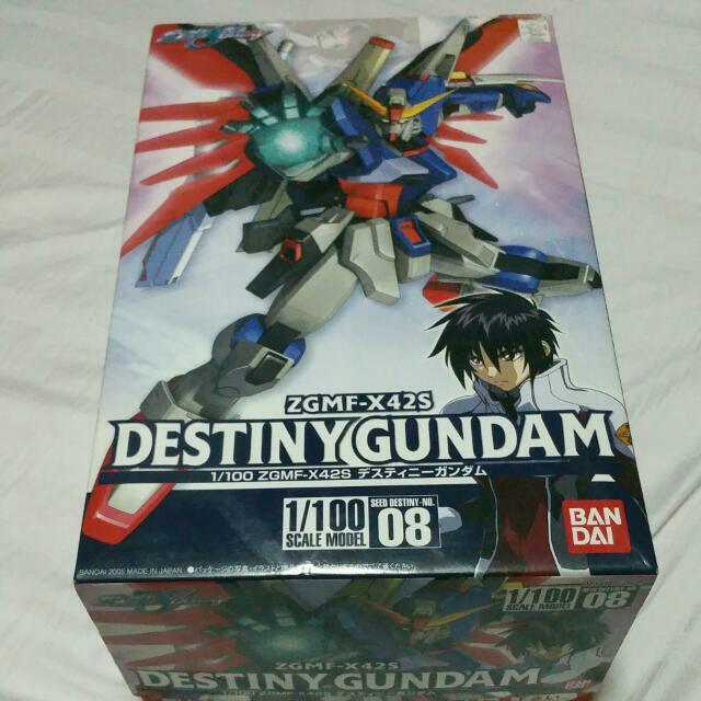 NG 1/100 Destiny Gundam First Launch Edition, Hobbies & Toys, Toys ...