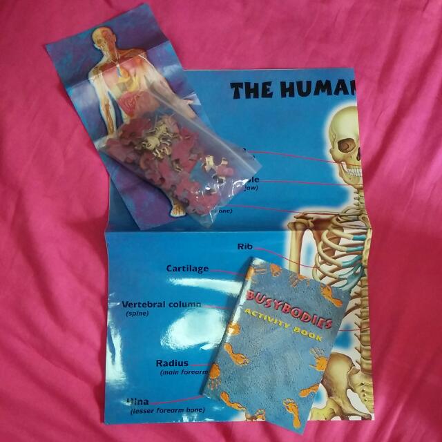 Time Life Big Block Body Atlas, Everything Else on Carousell