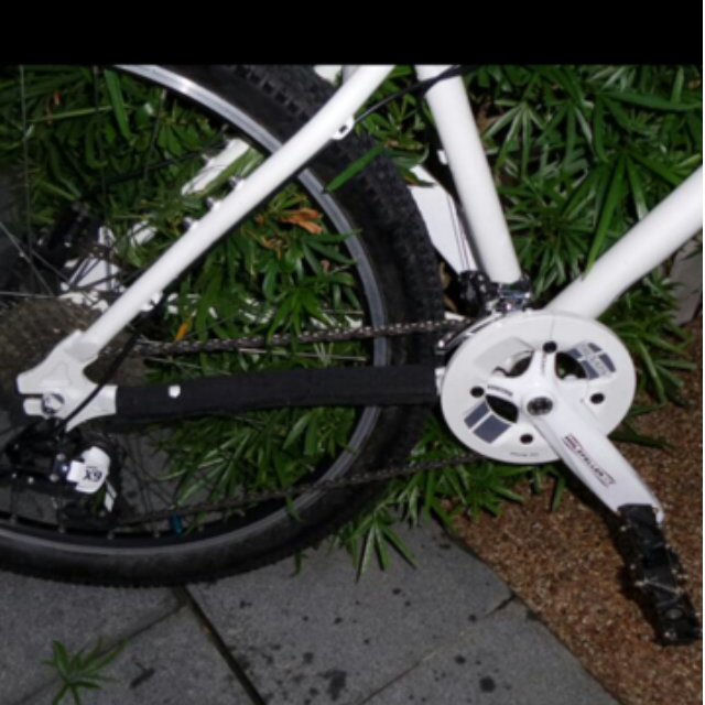 Cove Sanchez MTB *price Revised, Sports Equipment, Bicycles & Parts ...