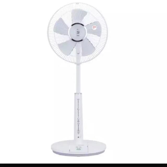 Hitachi Electric Fan ESP-60SG 30cm, TV & Home Appliances, Air Purifiers ...