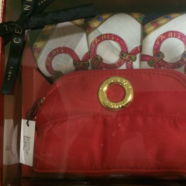 Authentic Celine Pouch & Scarf, Women's Fashion, Bags & Wallets, Purses ...