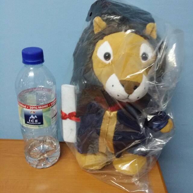 Graduation Soft Toy, Everything Else on Carousell