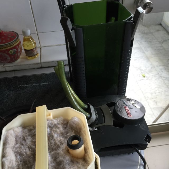 Eheim 2224 Professional Canister Pump, Pet Supplies, Homes & Other Pet ...