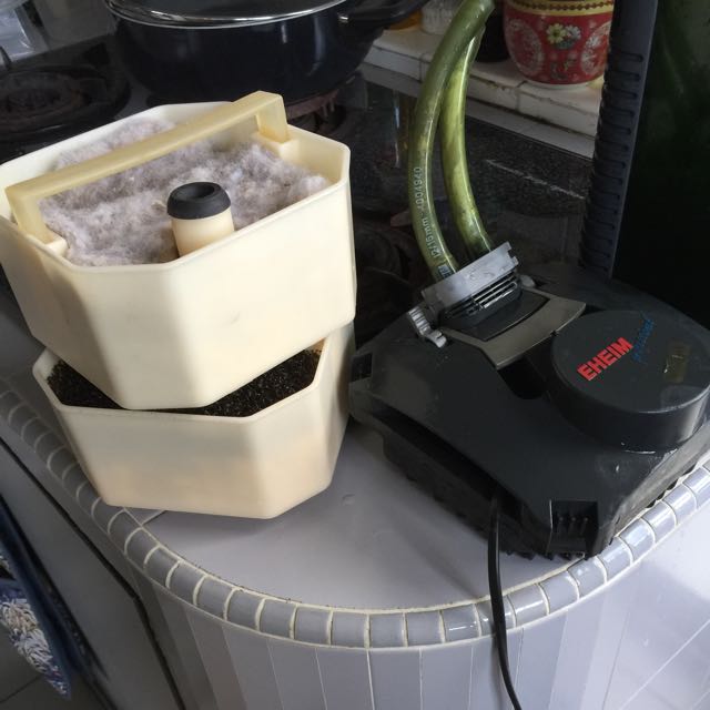 Eheim 2224 Professional Canister Pump, Pet Supplies, Homes & Other Pet ...