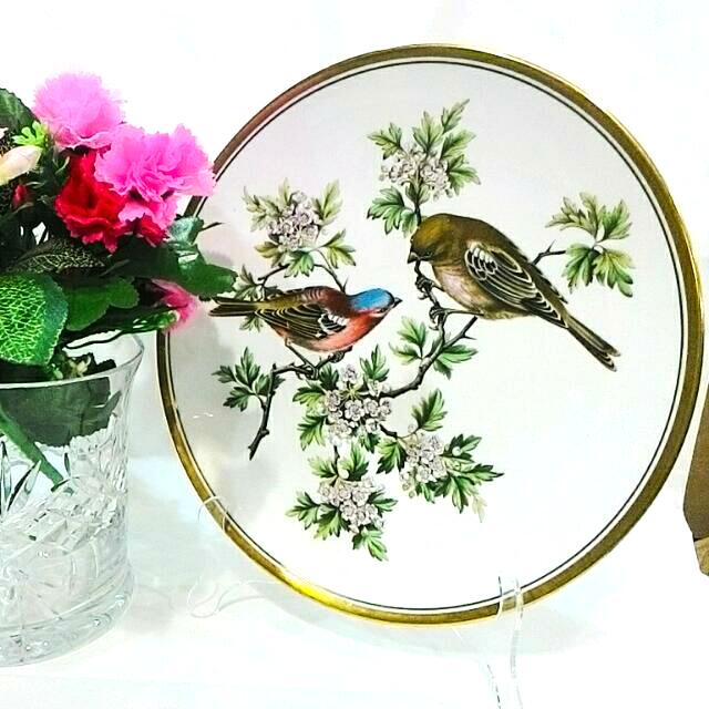 Vintage Spode "Garden Birds" No.4 Chaffinch Decorative Plate #spode # ...
