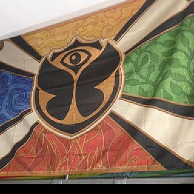 Tomorrowland Flag, Bulletin Board, Looking For on Carousell