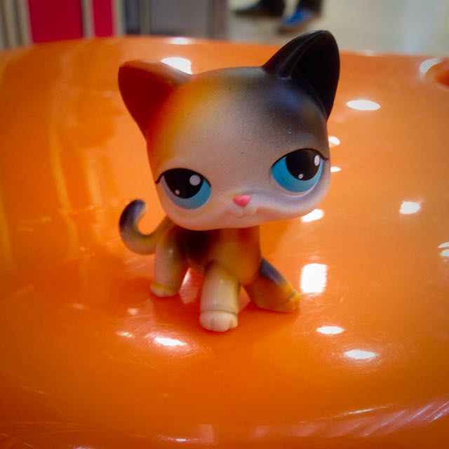 (Pending)Lps Calico Shorthair, Hobbies & Toys, Toys & Games on Carousell