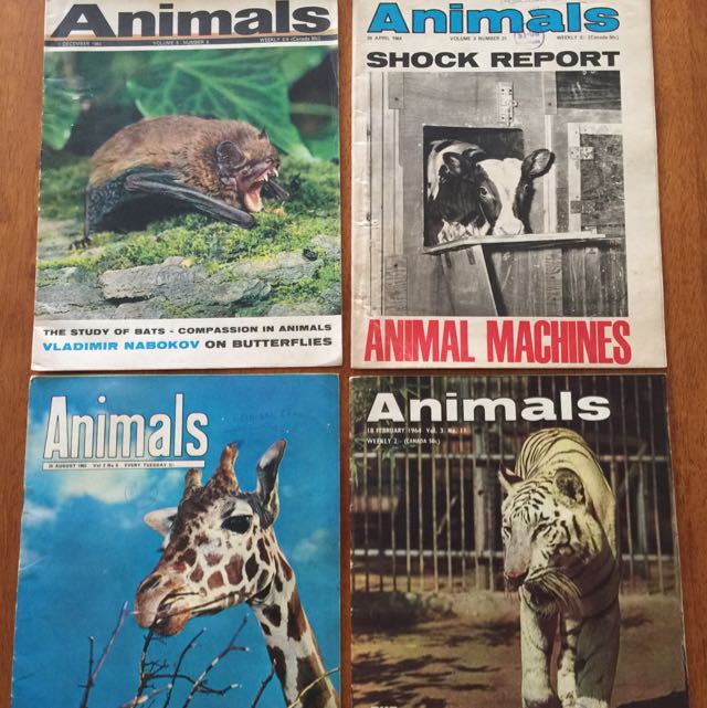 Animals Magazine, Hobbies & Toys, Books & Magazines, Magazines on Carousell