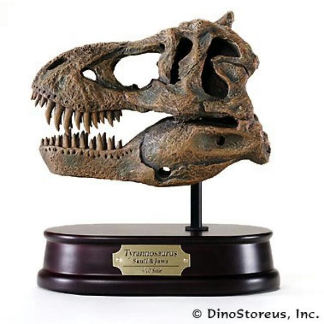 New! Tyrannosaurus Rex / T.rexScale: 1/10 on Carousell