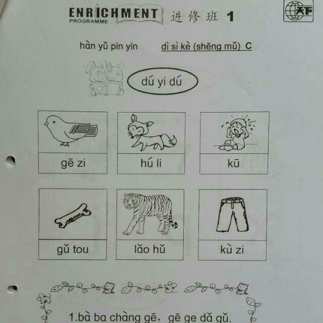P1 Hanyu Pinyin Preparatory Notes, Everything Else on Carousell