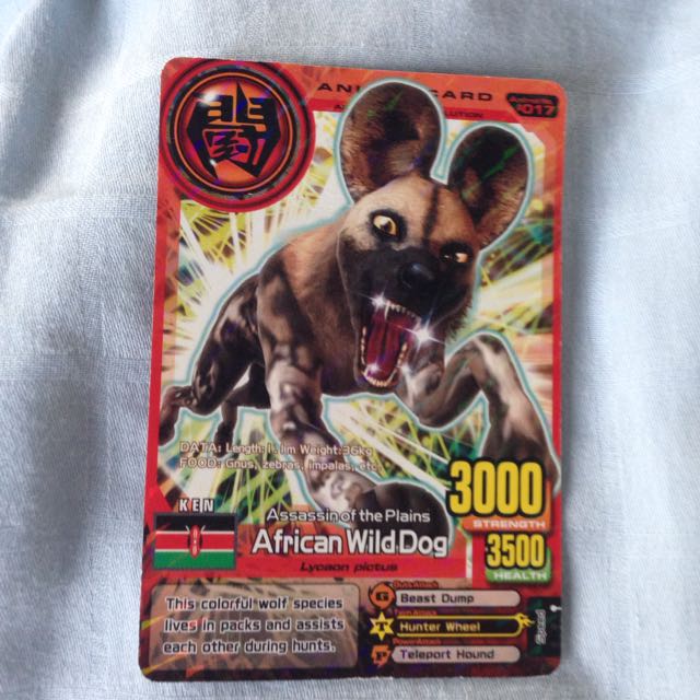 animal kaiser (African wild dog), Hobbies & Toys, Toys & Games on Carousell