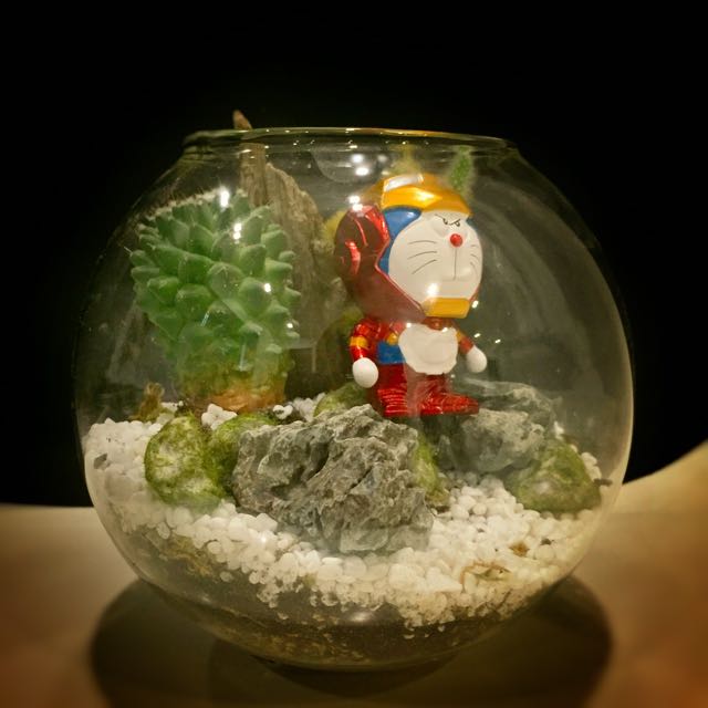 Ironman Doraemon Succulent Terrarium, Furniture & Home Living ...
