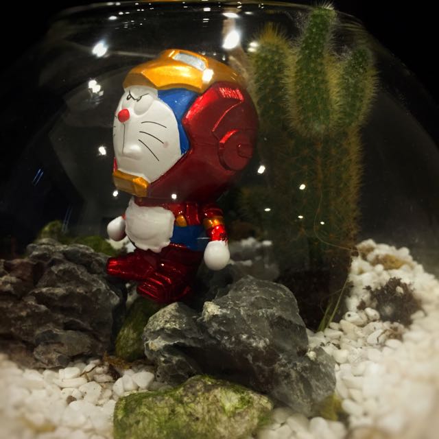 Ironman Doraemon Succulent Terrarium, Furniture & Home Living ...