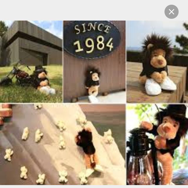 Minomi Doll (from MBC TV Drama Personal Taste - Lee Min Ho), Hobbies ...