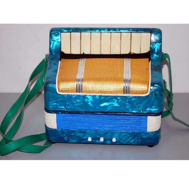 Accordion for Kids by Child Prodigy Midget, Hobbies & Toys, Music ...