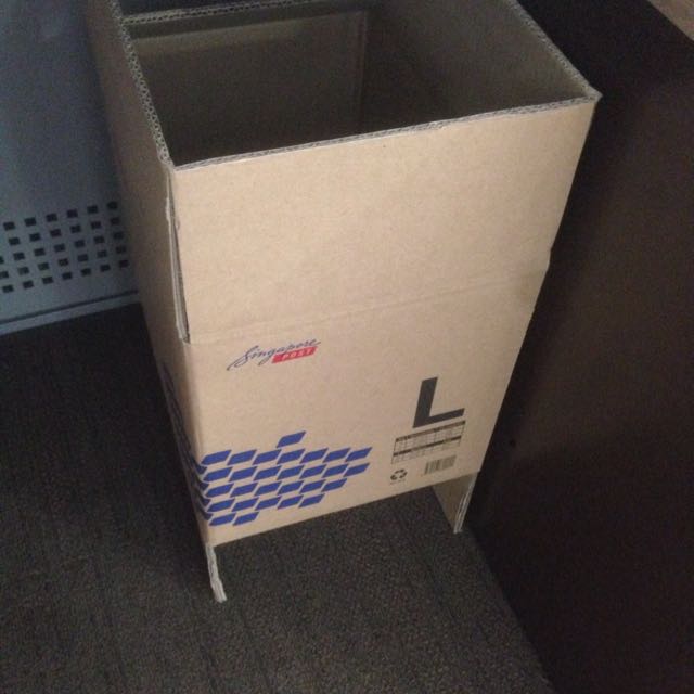 Brand New Singpost Carton Box Large Size, Furniture & Home Living, Home ...