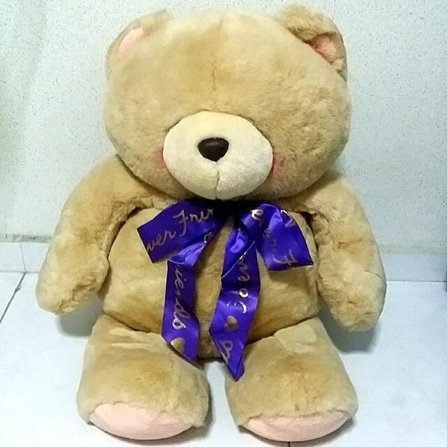 50cm Forever Friends Bear, Hobbies & Toys, Toys & Games on Carousell