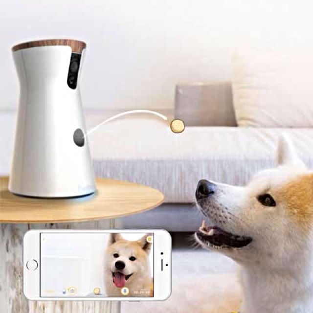 Pet Monitor, Pet Supplies, Homes & Other Pet Accessories on Carousell