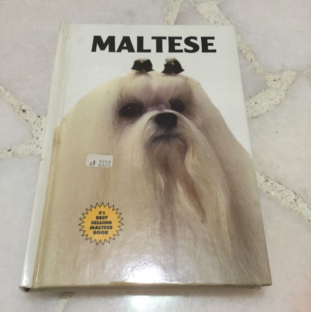 Maltese, Hobbies & Toys, Books & Magazines, Religion Books on Carousell