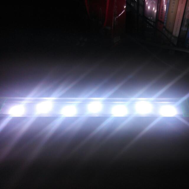 1ft LED Light, Pet Supplies, Homes & Other Pet Accessories on Carousell