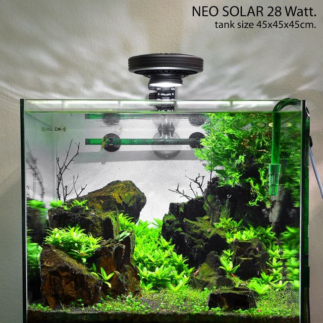 INTENSE Neo Solar Hi Power LED Light, Pet Supplies, Homes & Other Pet ...