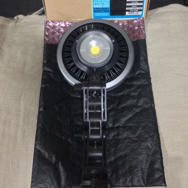 INTENSE Neo Solar Hi Power LED Light, Pet Supplies, Homes & Other Pet ...