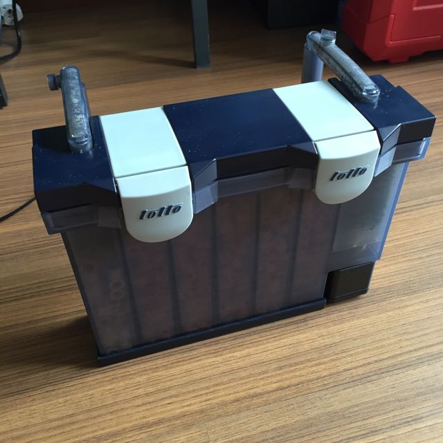 TOTTO Perfect Filters for Minimini (Type S), Pet Supplies, Homes ...