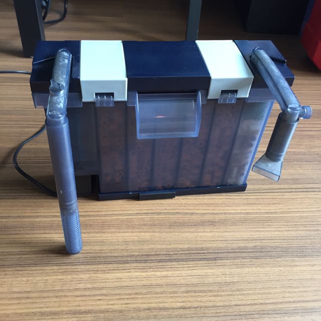 TOTTO Perfect Filters for Minimini (Type S), Pet Supplies, Homes ...