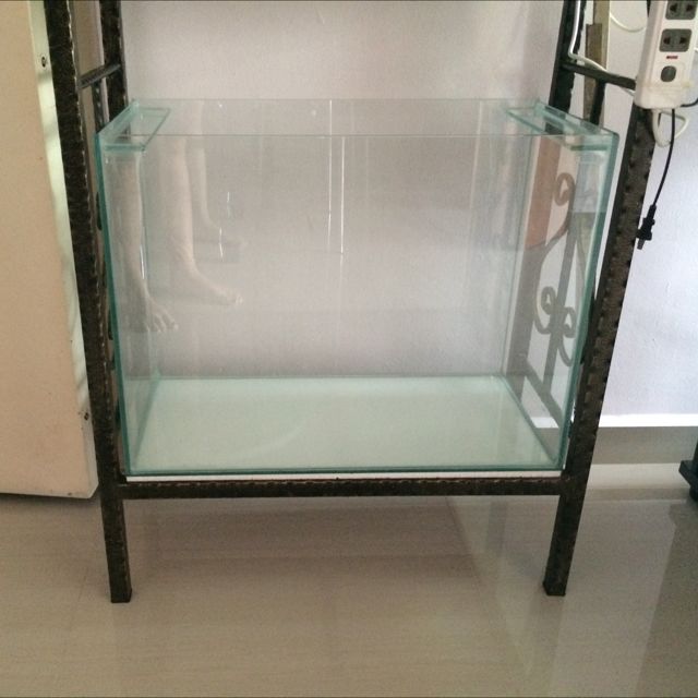 Used Fish Tank, Pet Supplies, Homes & Other Pet Accessories on Carousell